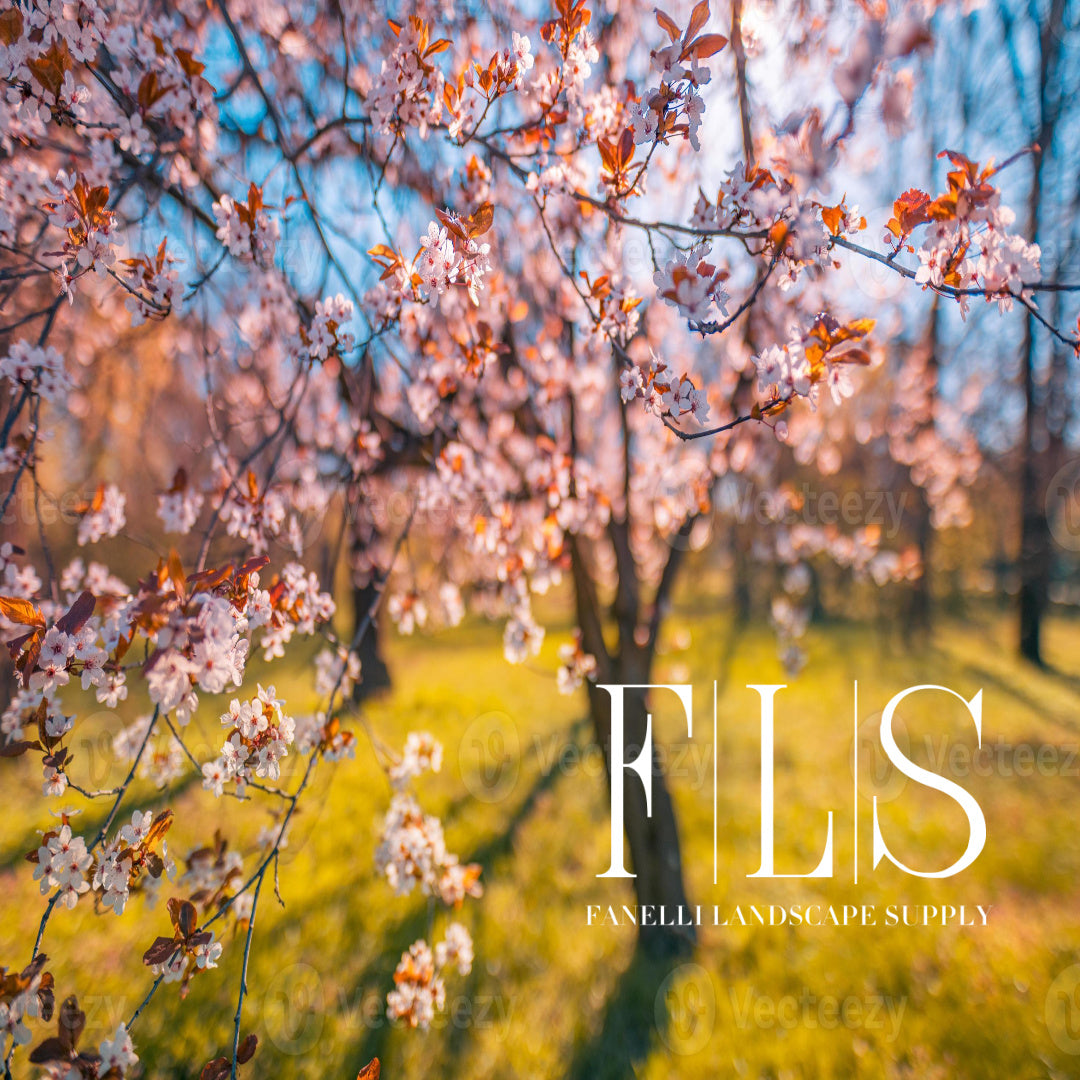 "Spring Into April: Essential Tips for Preparing Your Landscape for th ...